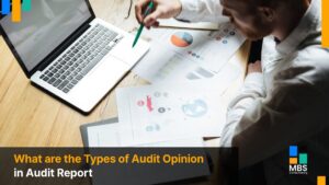 Understanding Types of Audit Opinion Clearly
