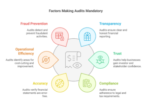Audit Requirements in UAE: A Comprehensive Guide - Mbs Consultancy